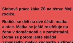 VTIP: Slohová práce žáka ZŠ na téma: Moji rodiče. Rodiče se dělí na dvě ...