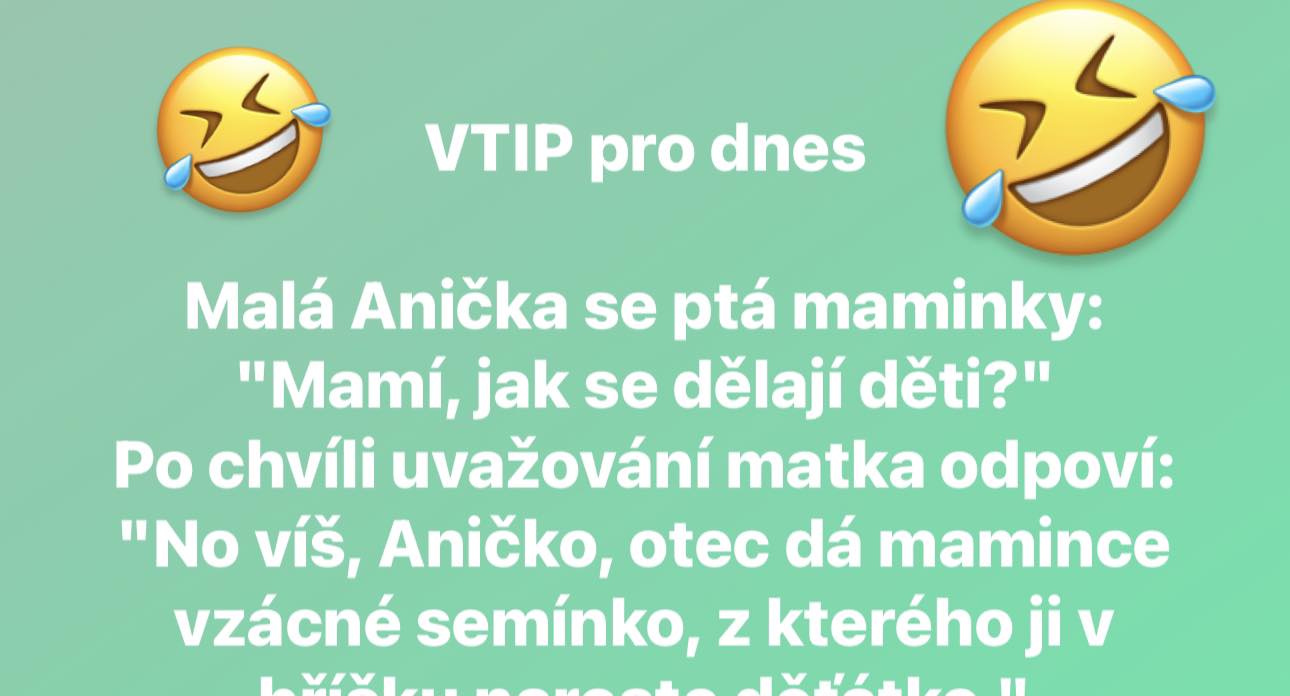 VTIP DNE: Malá Anička se ptá maminky: "Mamí, jak se dělají děti?".... - Ifunny