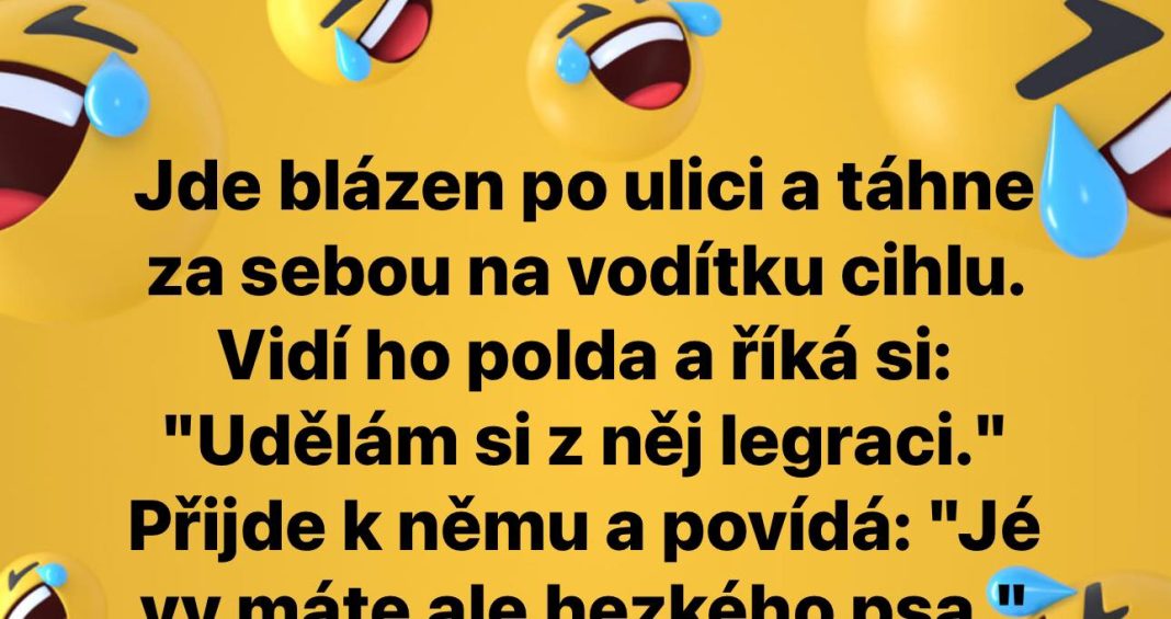 VTIP: Jde blázen po ulici a táhne za sebou na vodítku cihlu... - Ifunny